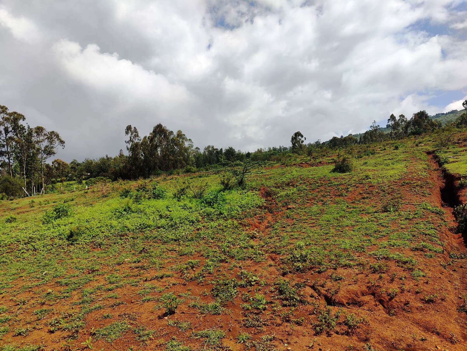 Mountain View Gardens, Kilimambogo - Gateway Homes Limited